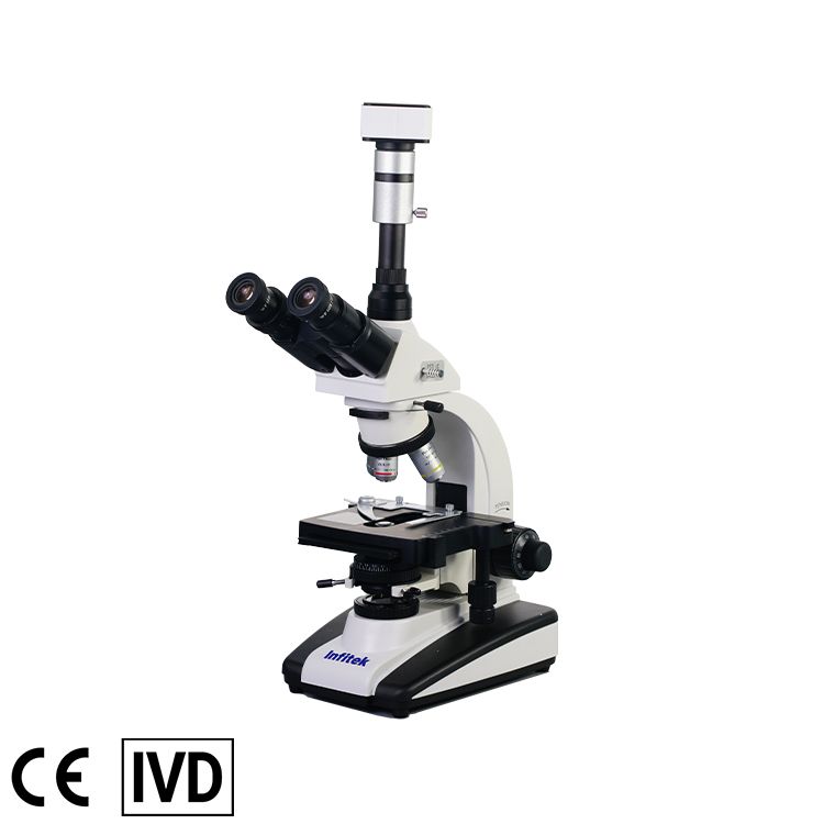 Biological Microscope Msc B511w Infitek